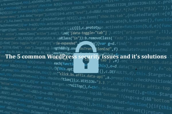 ? The 5 common WordPress security issues & it's solutions-WP Small Fix